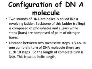 Structure of dna | PPT