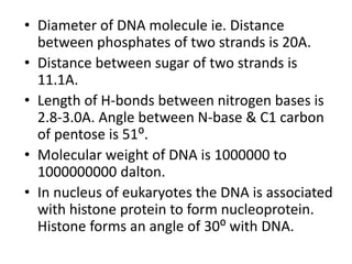 Structure of dna | PPT