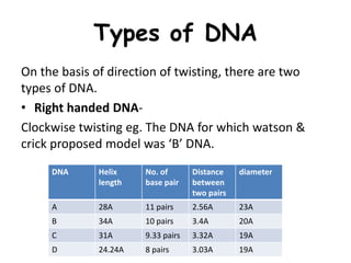 Structure of dna | PPT