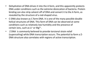 Structure of dna | PPT