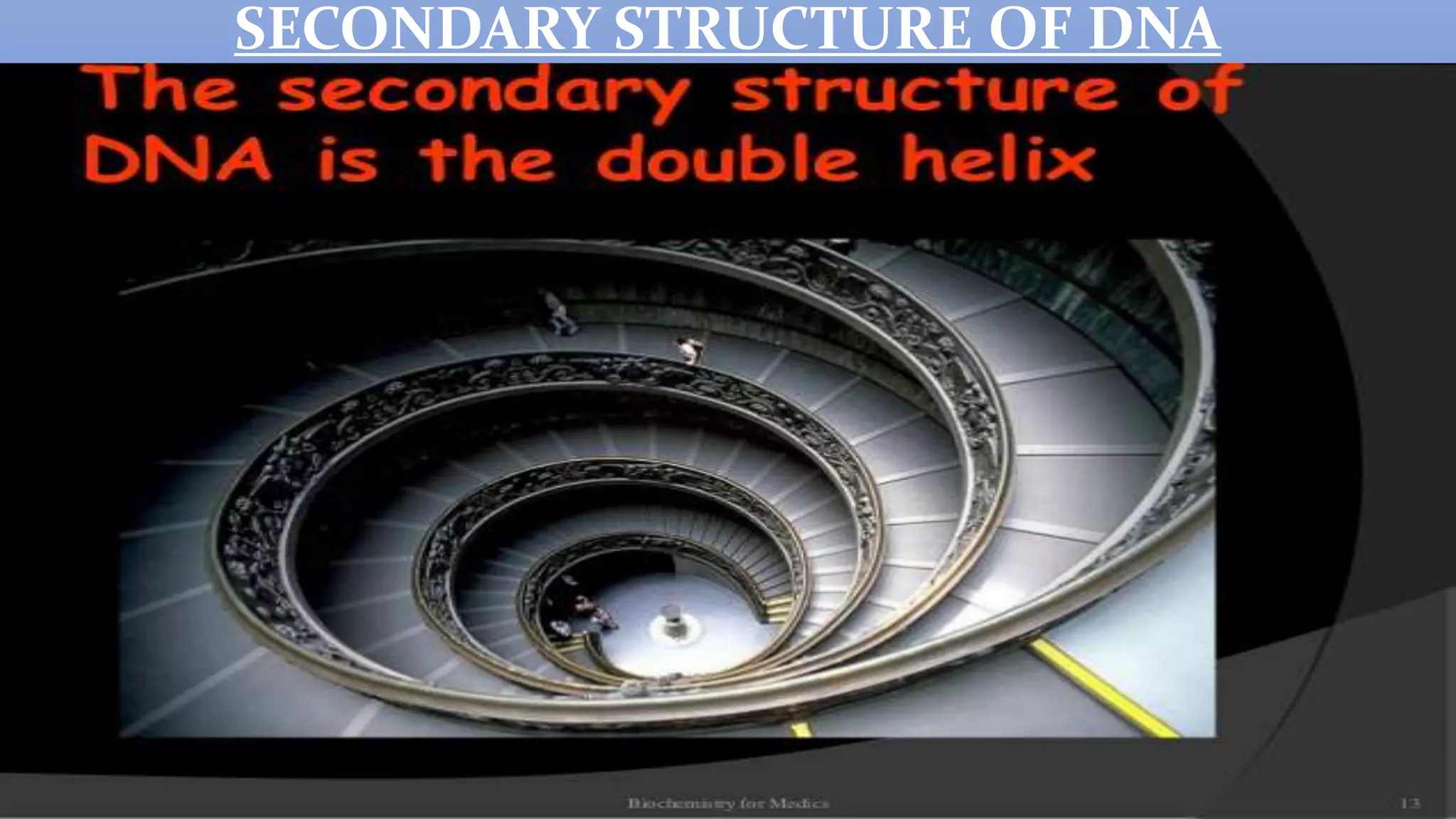 Structure of dna | PPTX | Chemistry | Science