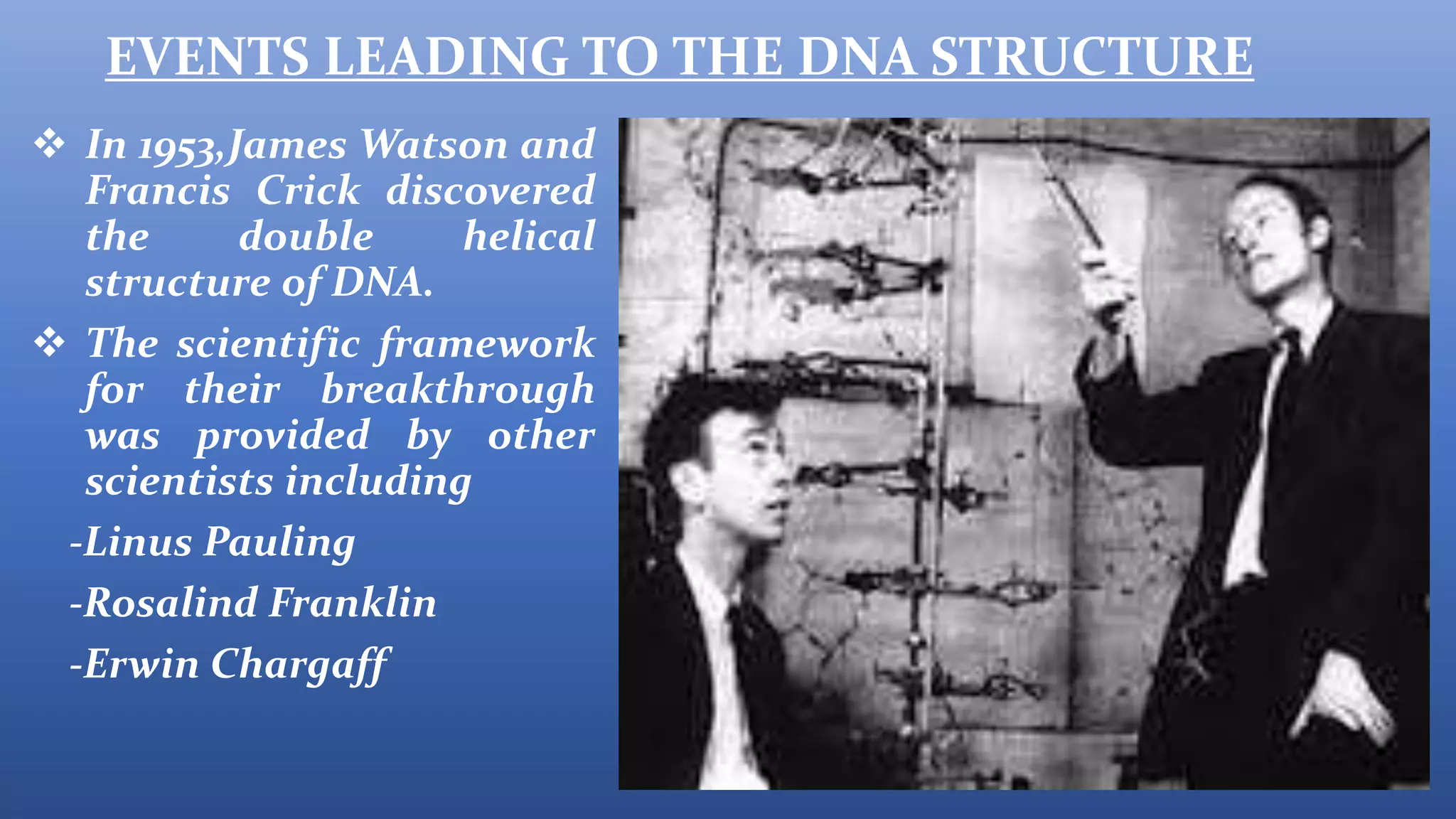 Structure of dna | PPTX