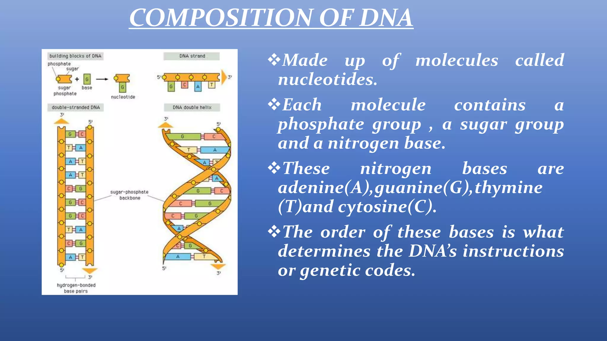 Structure of dna | PPTX | Chemistry | Science