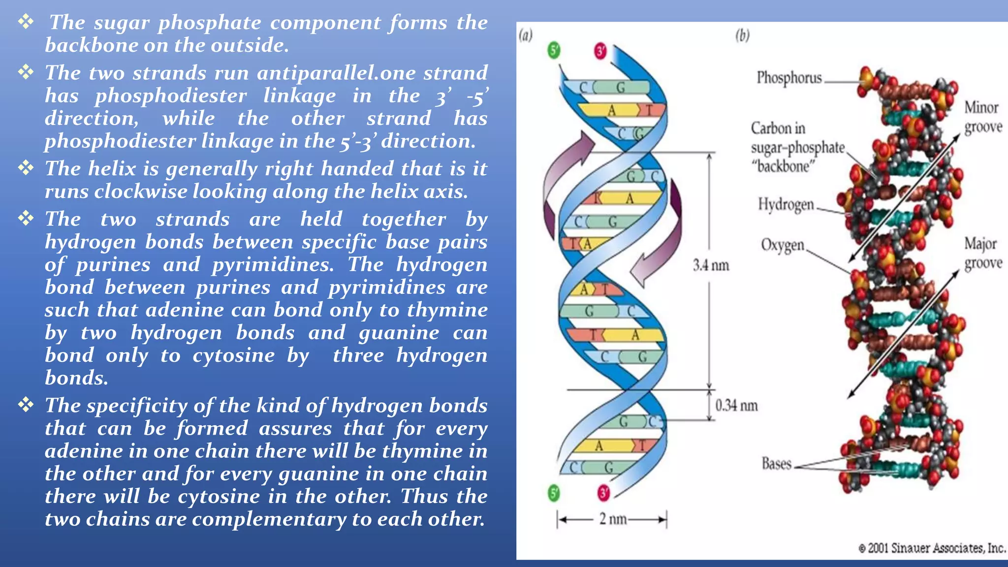 Structure of dna | PPTX