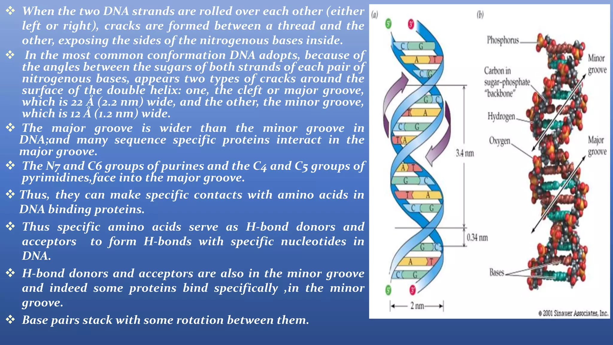 Structure of dna | PPTX