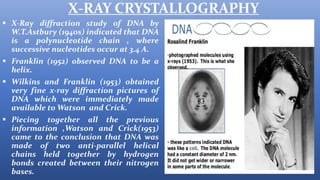 Structure of dna | PPTX