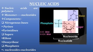Structure of dna | PPTX
