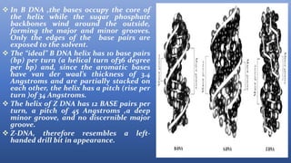 Structure of dna | PPTX