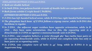 Structure of dna | PPTX