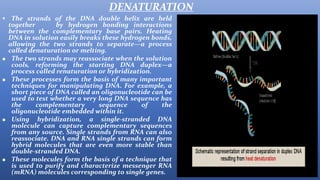 Structure of dna | PPTX