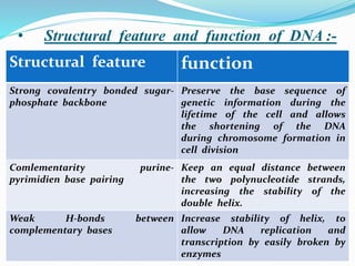 Structure of dna | PPTX