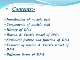 Structure of dna | PPT