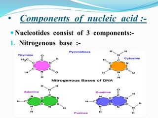 Structure of dna | PPT