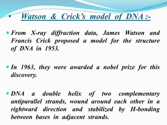 Structure of dna | PPT