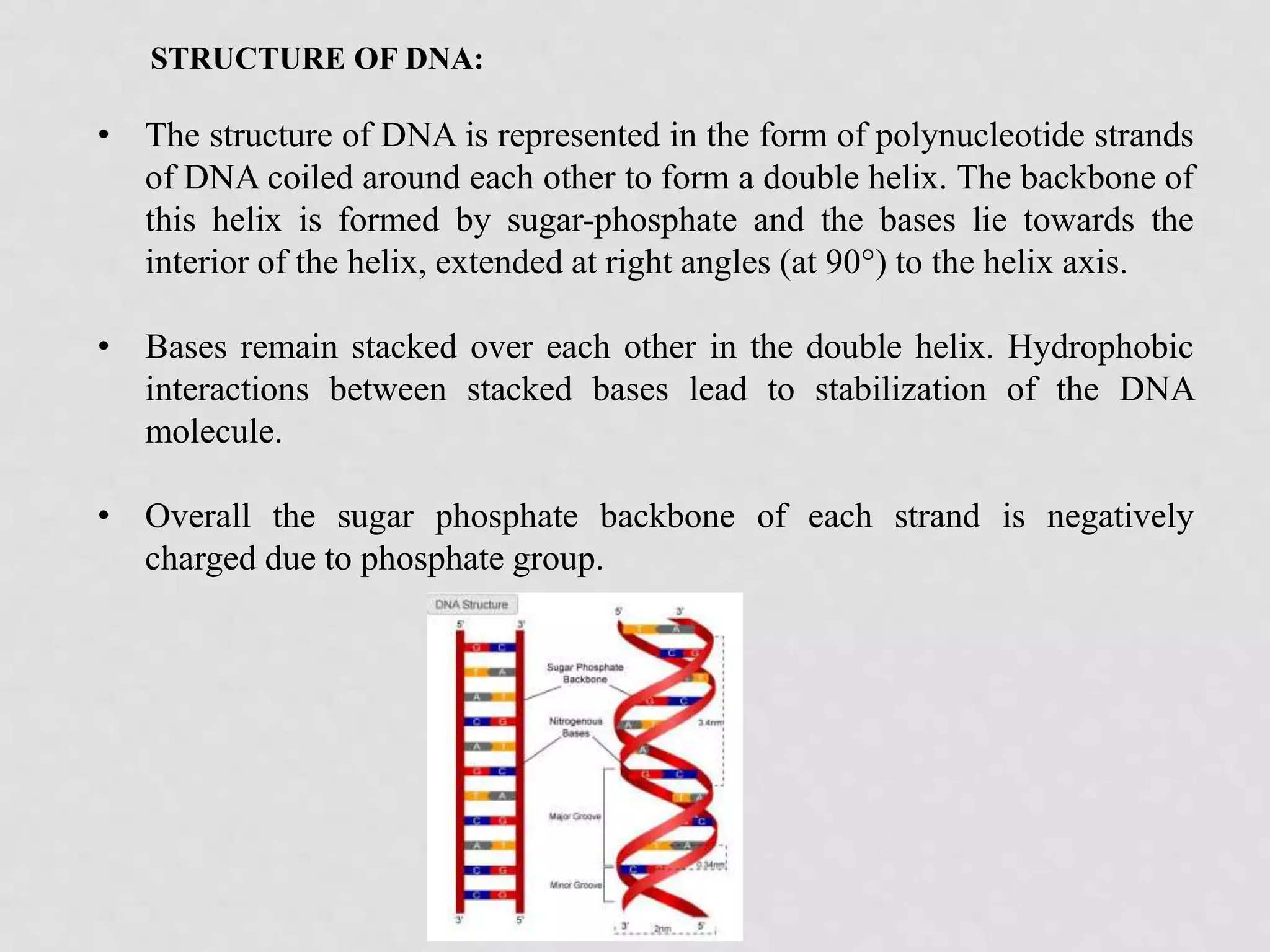 Structure of dna | PPTX | Chemistry | Science