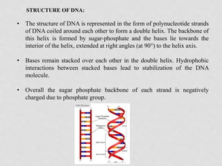 Structure of dna | PPTX