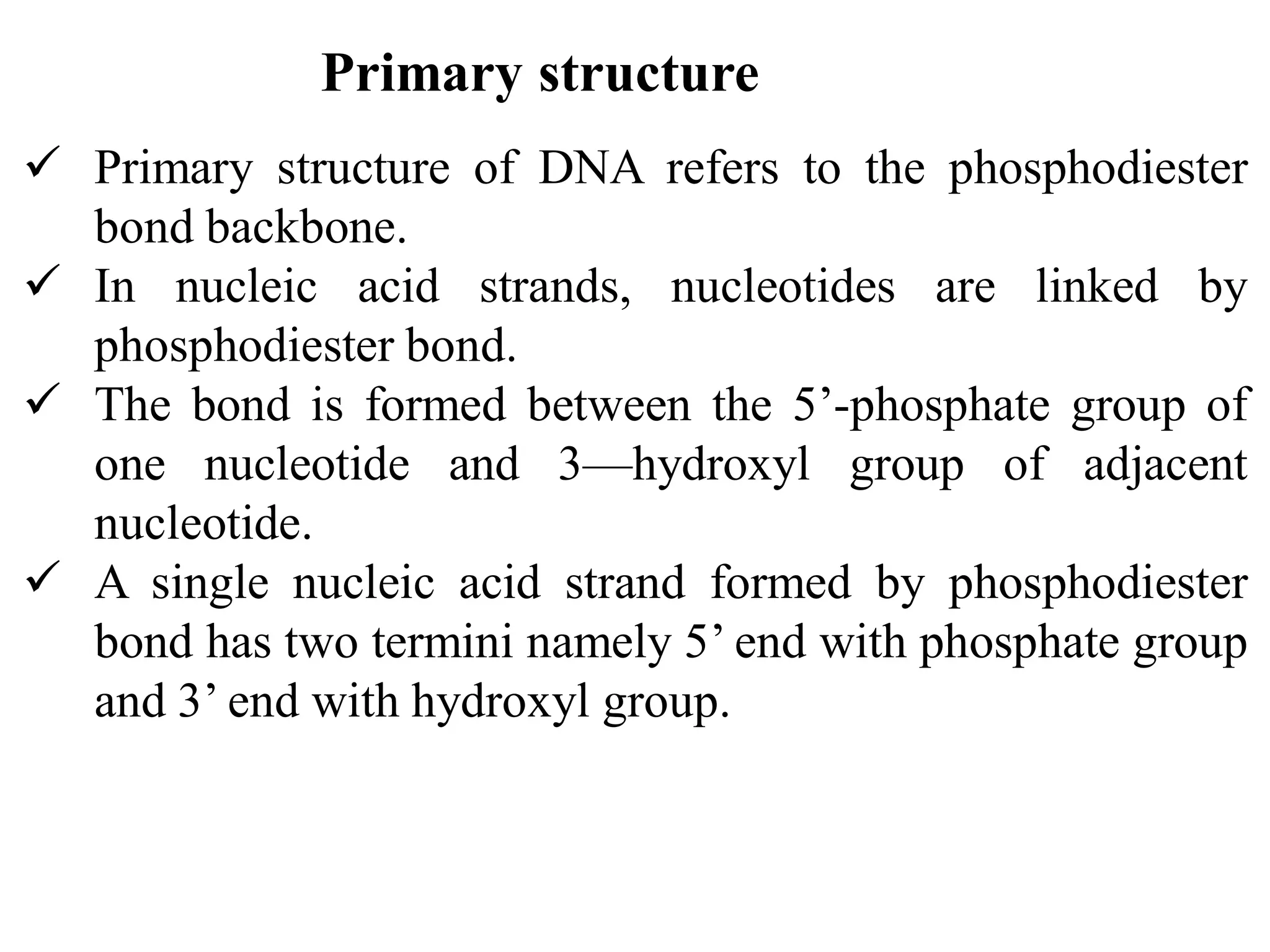 Structure of DNA | PDF