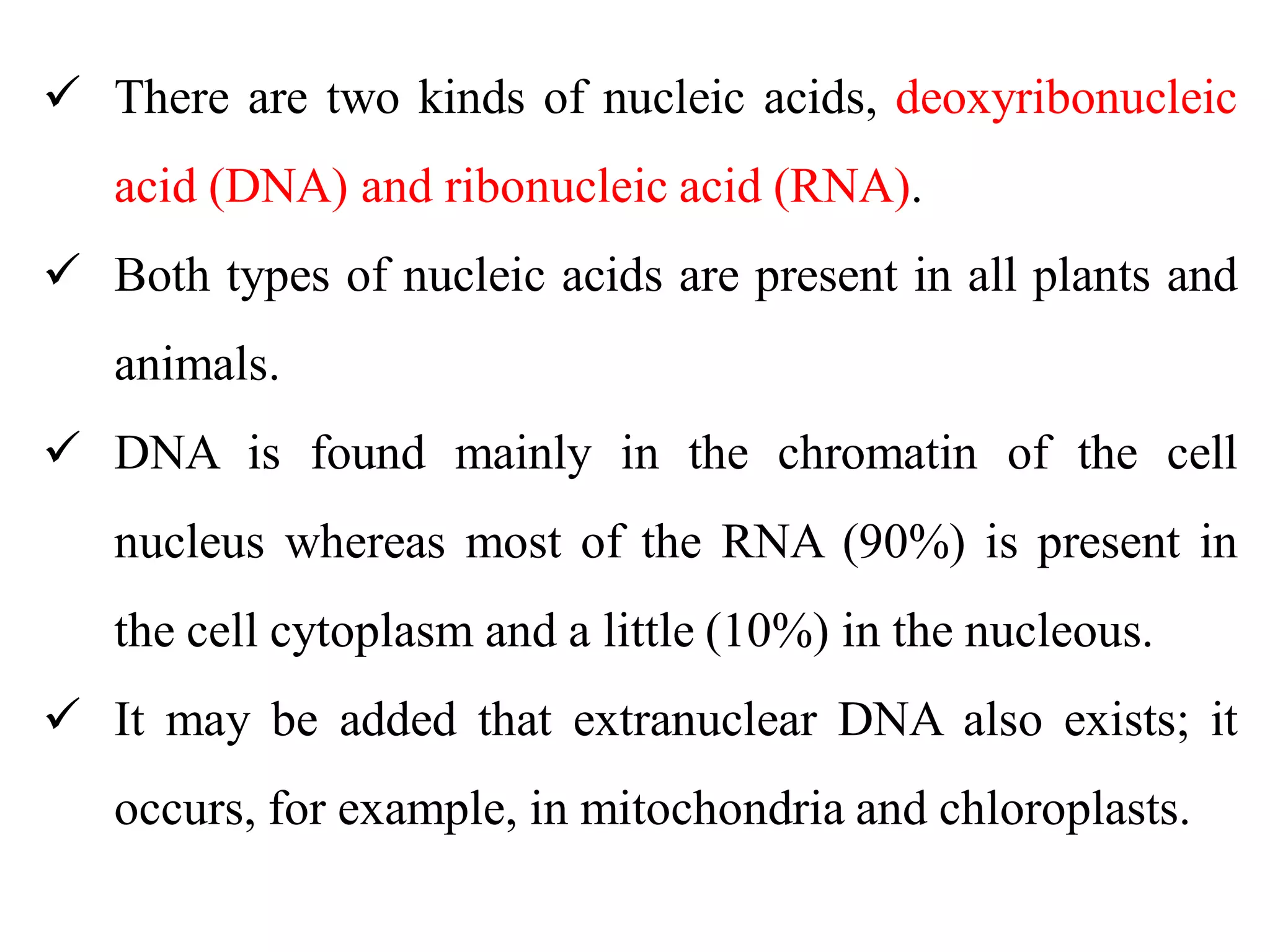Structure of DNA | PDF