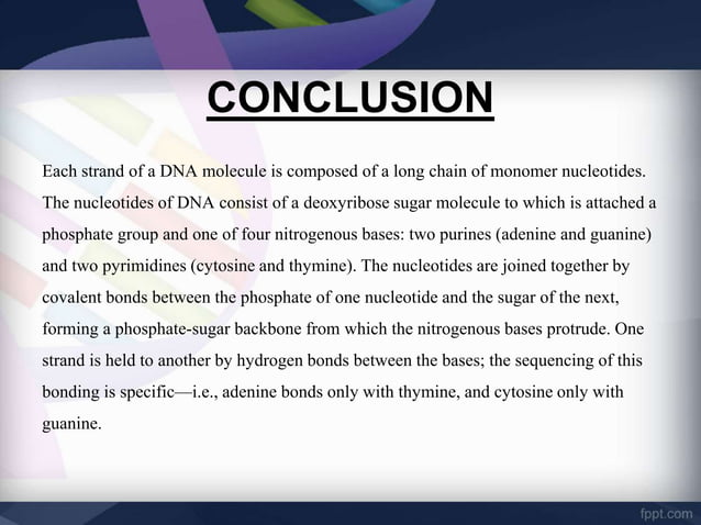 Structure of dna | PPT