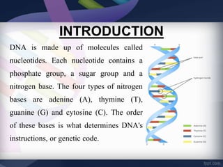 Structure of dna | PPT