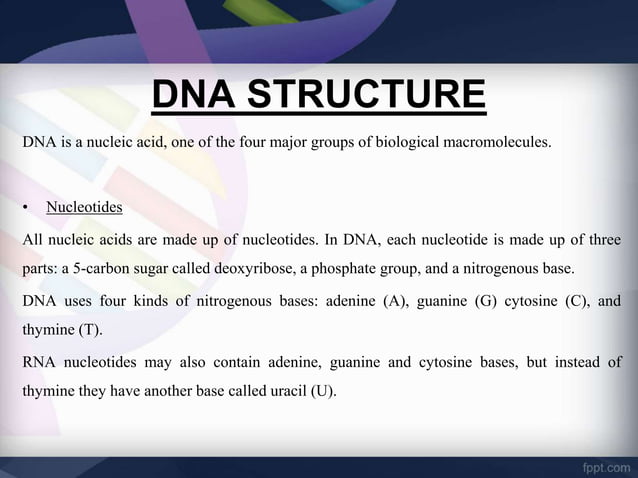 Structure of dna | PPT
