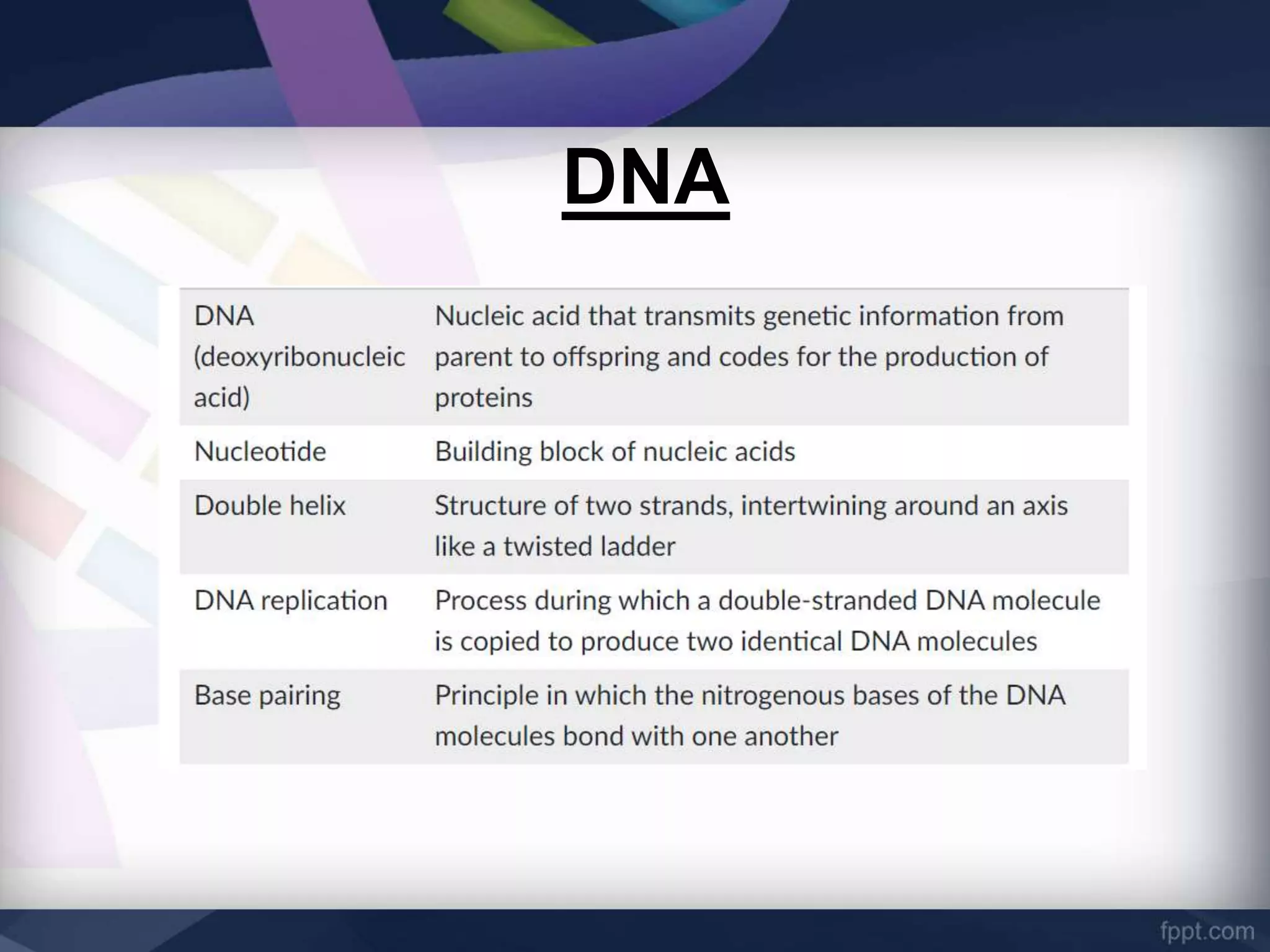 Structure of DNA | PPTX