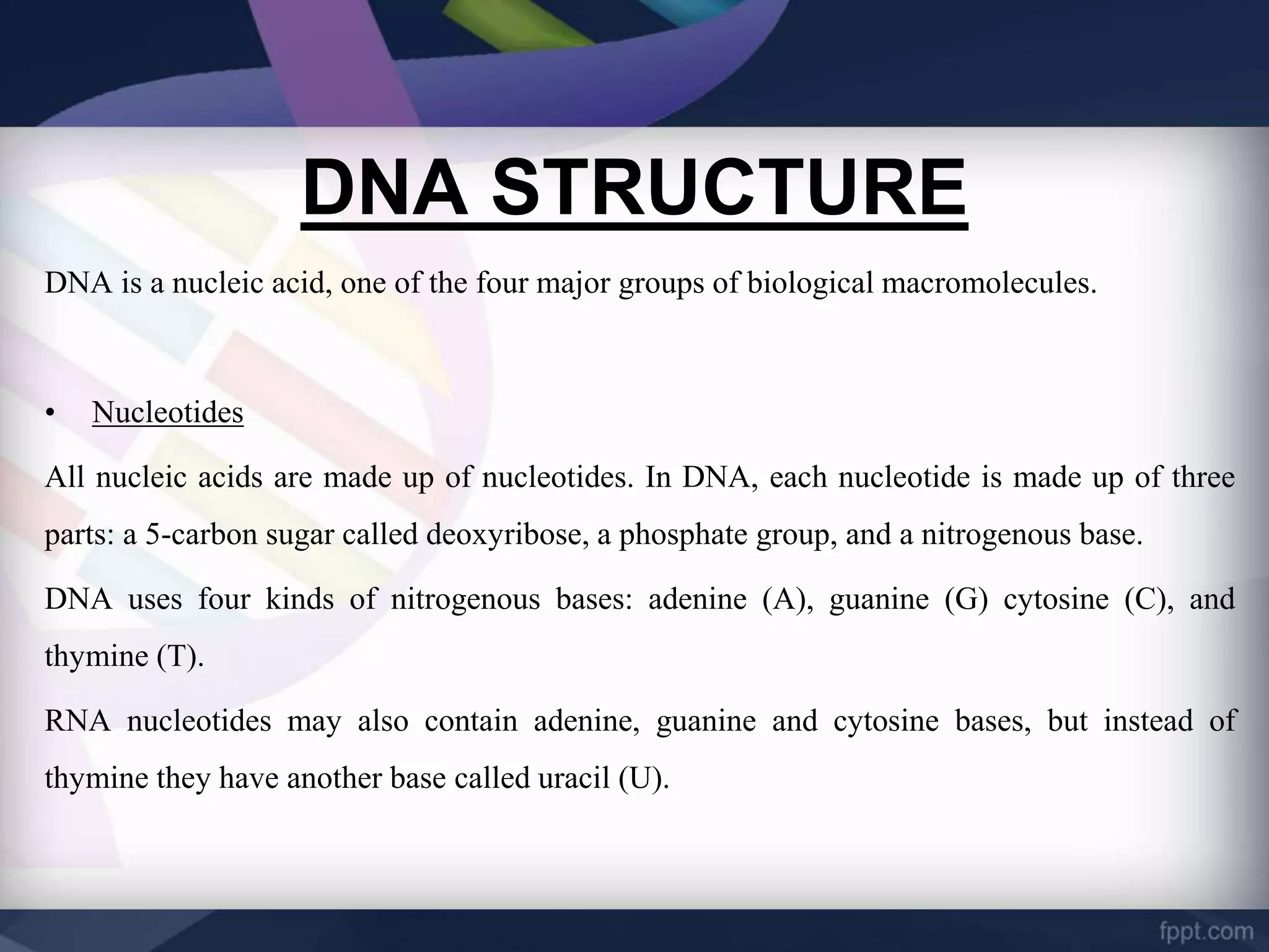 Structure of DNA | PPTX