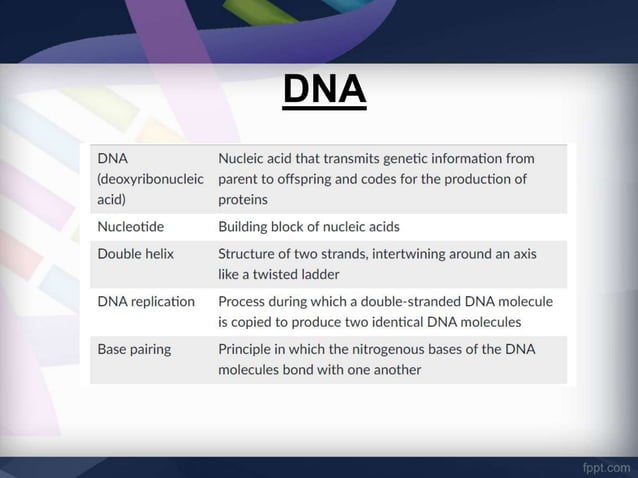 Structure of DNA | PPTX