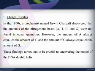 Structure of DNA | PPTX