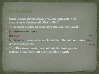 Structure of DNA.pptx | Free Download