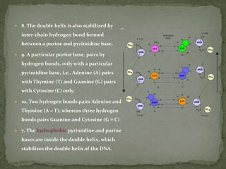 Structure of DNA.pptx | Free Download