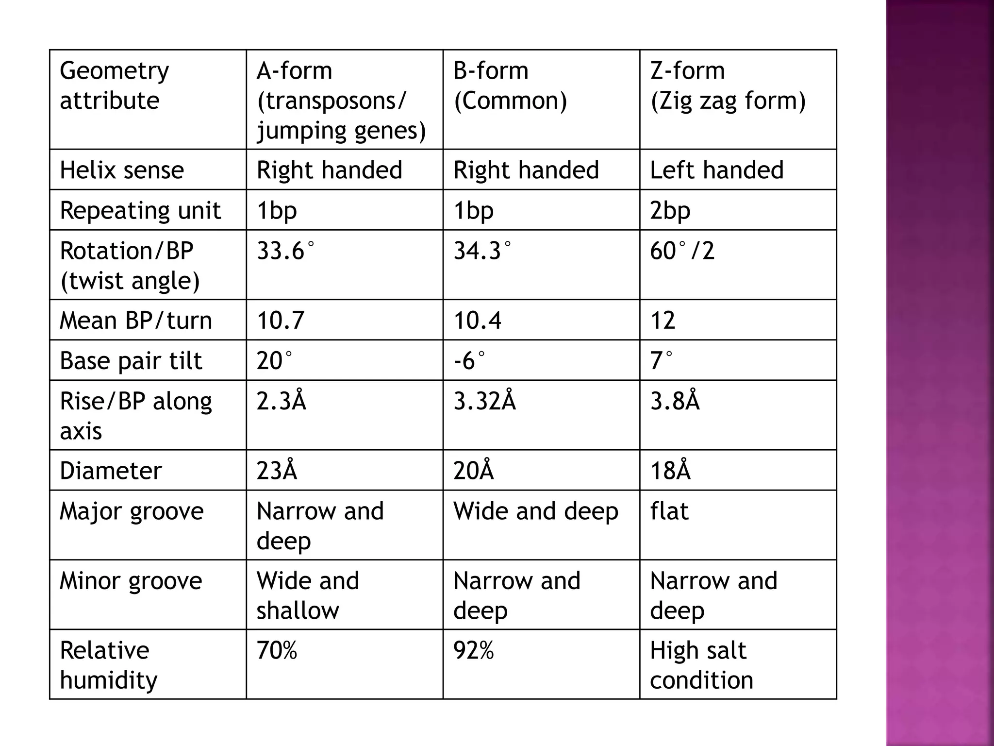 Structure of DNA.pptx