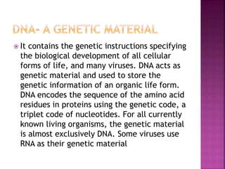 Structure of DNA.pptx