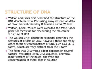 Structure of DNA.pptx