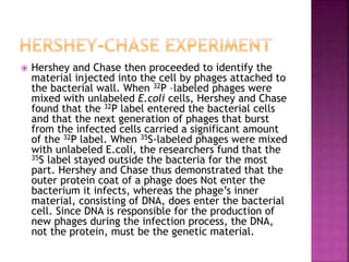 Structure of DNA.pptx