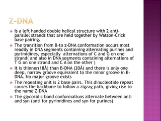 Structure of DNA.pptx