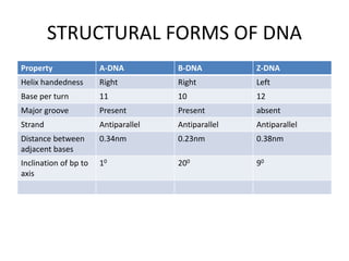 STRUCTURE OF DNA.pptx