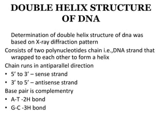 STRUCTURE OF DNA.pptx