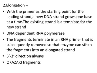 STRUCTURE OF DNA.pptx