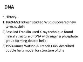 STRUCTURE OF DNA.pptx