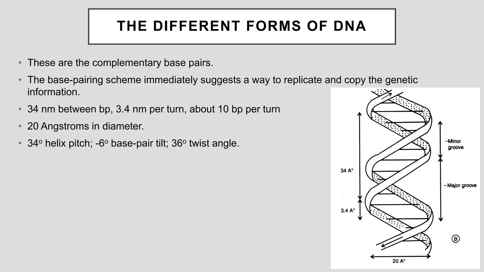Structure of DNA- Types and functions of DNA | PDF