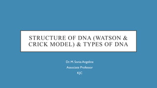 Structure of DNA- Types and functions of DNA | PDF