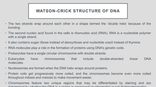 Structure of DNA- Types and functions of DNA | PDF