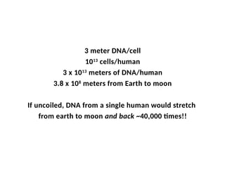Structure of DNA bilomolecular material science .pptx