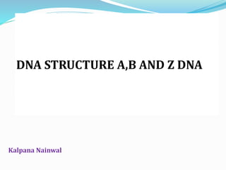STRUCTURE OF DNA AND TYPES OF DNA | PPT