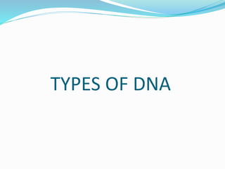 STRUCTURE OF DNA AND TYPES OF DNA | PPT