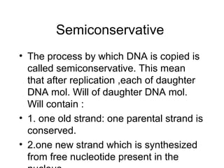 Structure of dna and replication | PPT