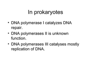 Structure of dna and replication | PPT