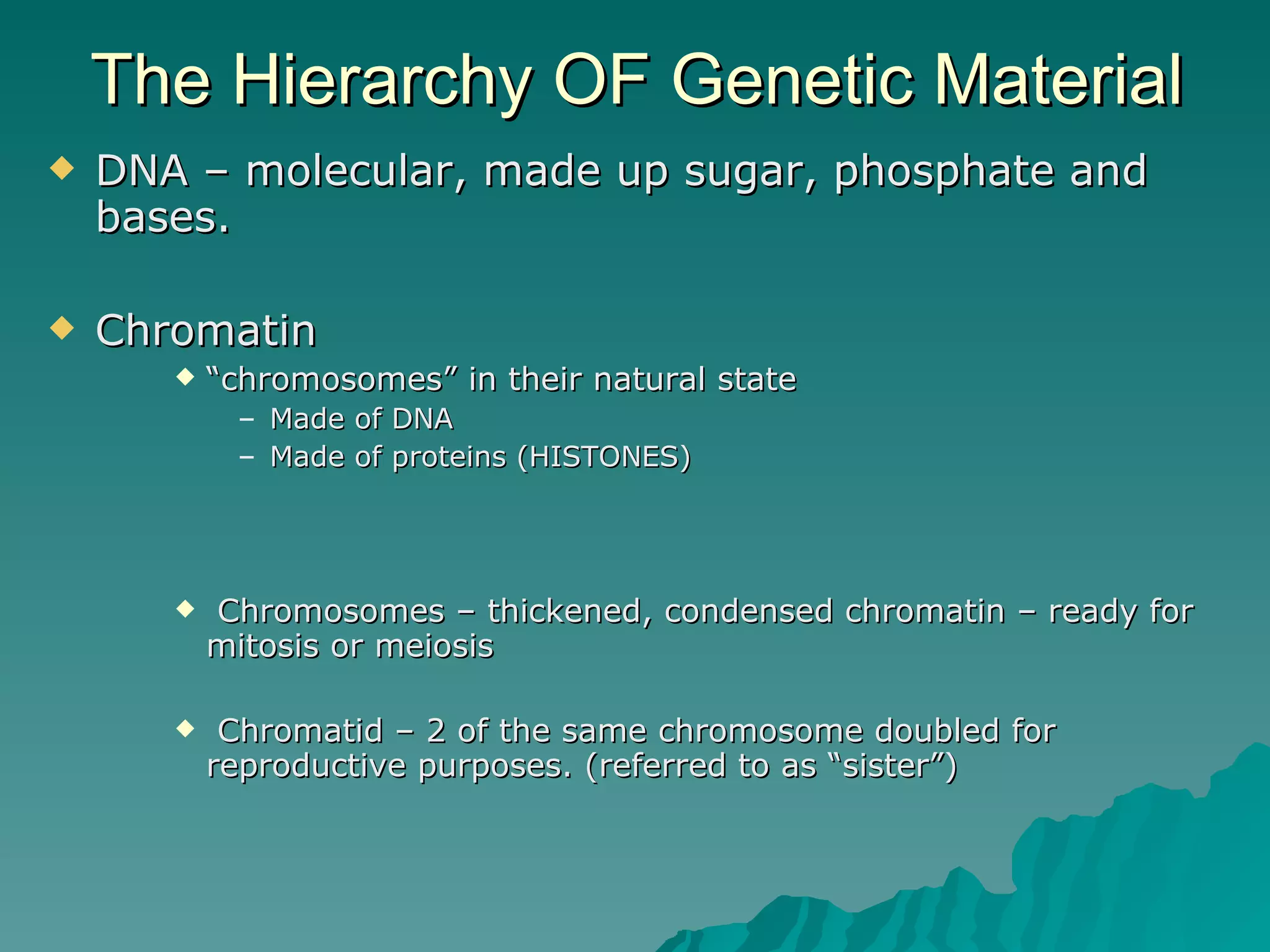 Structure of dna and replication2009 | PPT