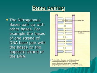Structure of dna and replication2012 | PPT